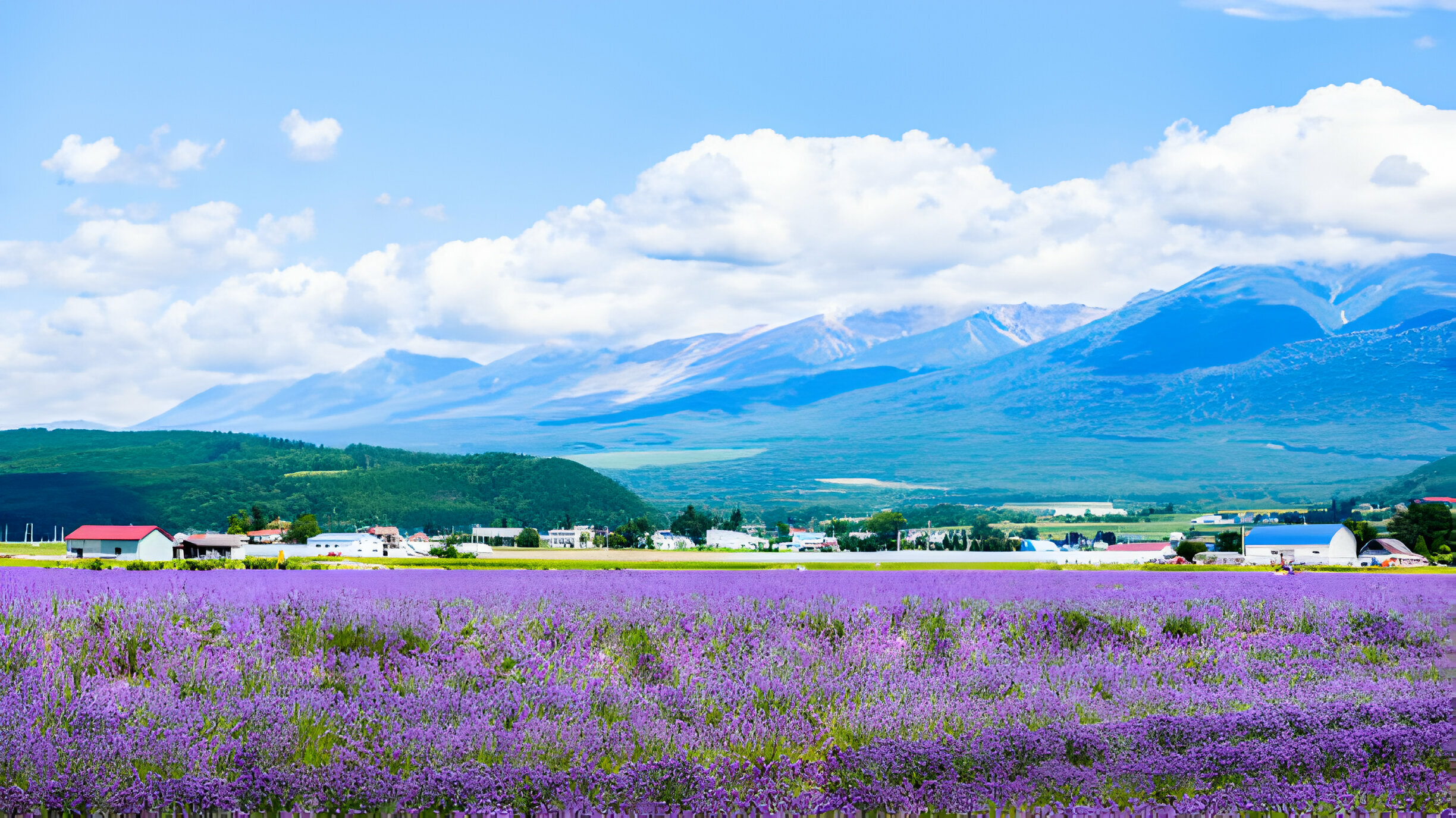 Selecting Accommodation in Furano: Important Considerations - FRESHPOWDER.COM | Furano Accommodation